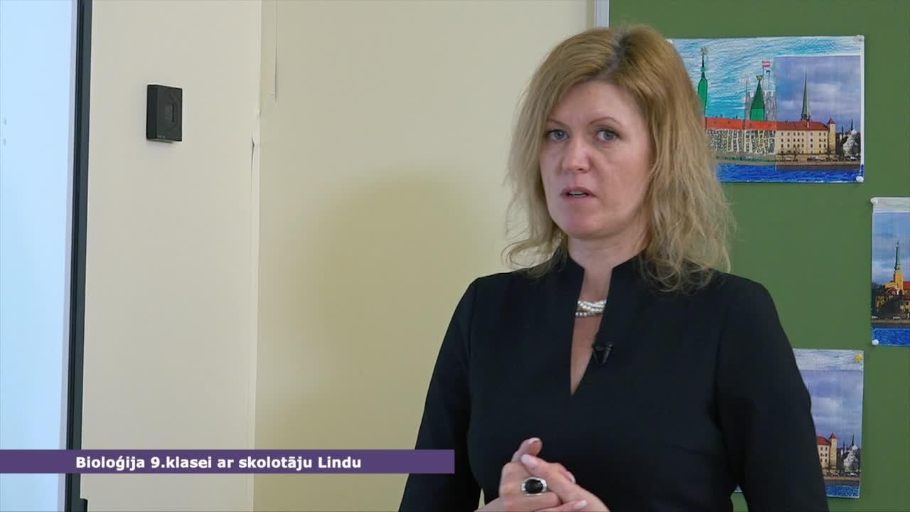 Tavaklase.lv - Reflekss. Refleksa loks (SURDO) (4. stunda)