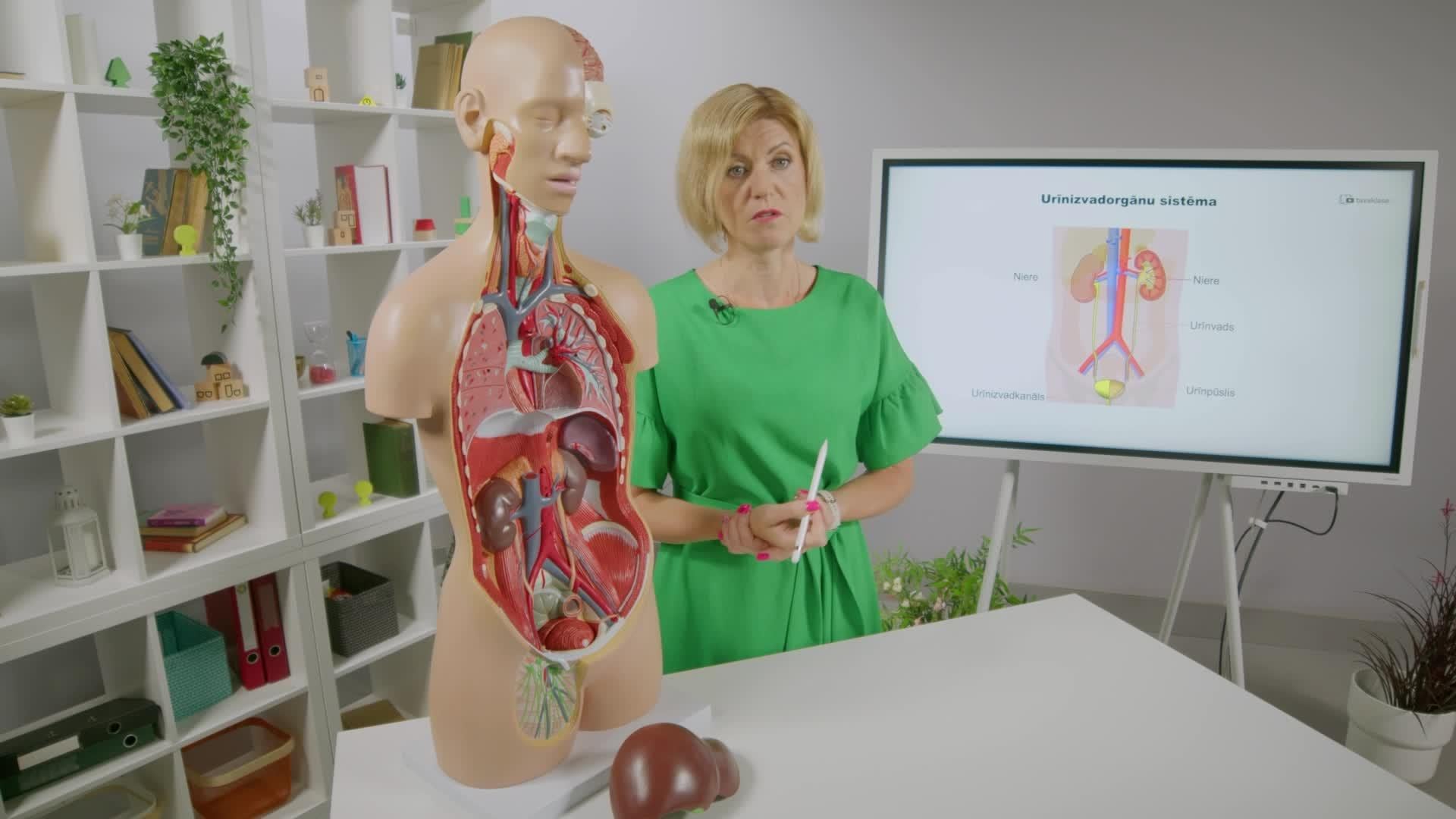 Tavaklase.lv - Dažādu vielu izvadīšana no cilvēka organisma